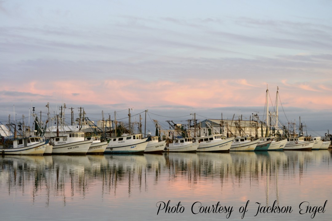 Overview – Port of Palacios